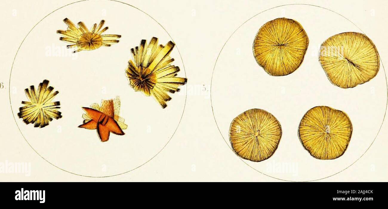 Atlante dei sedimenti urinari; con particolare riferimento al loro ...