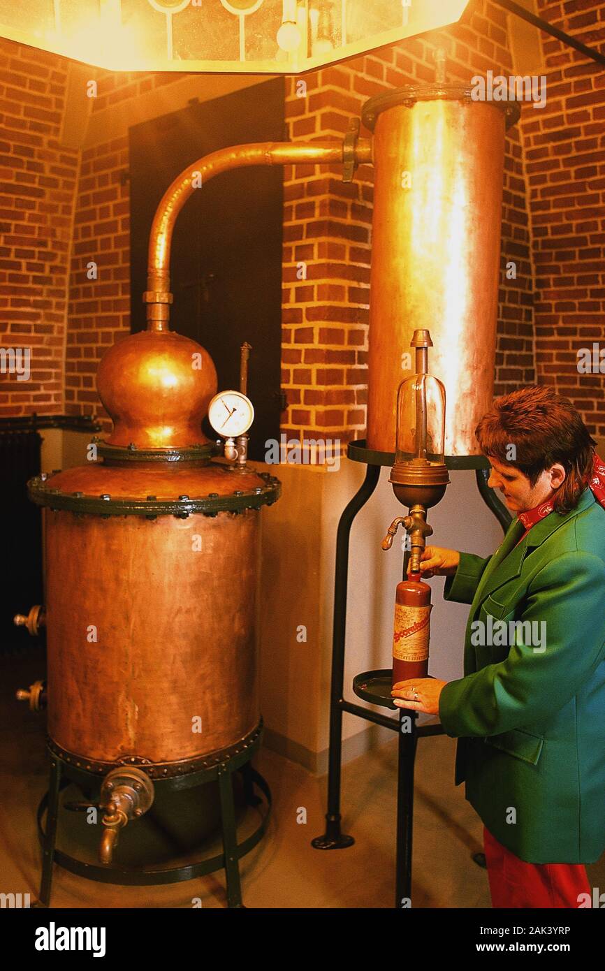 Nella distilleria Berentzen museum di Haselünne nell'Emsland la grappa ...