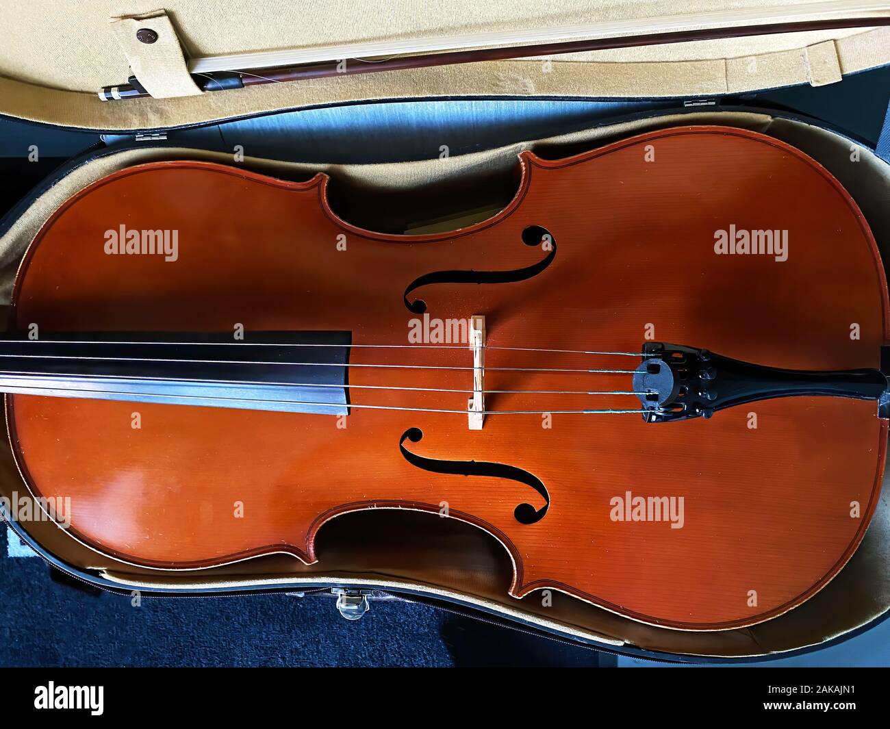 Violoncello donna immagini e fotografie stock ad alta risoluzione - Alamy