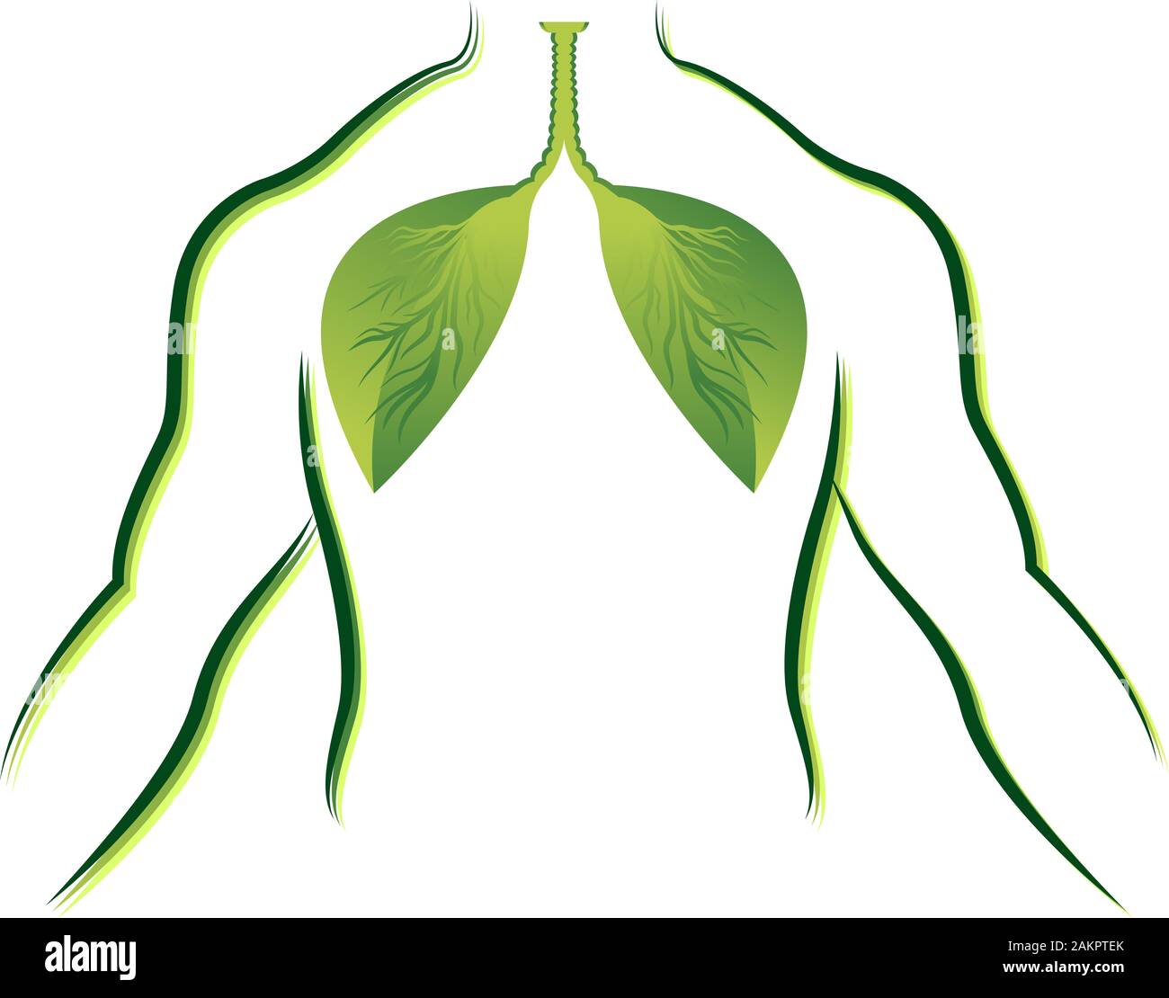 Polmoni del pianeta immagini e fotografie stock ad alta risoluzione - Alamy