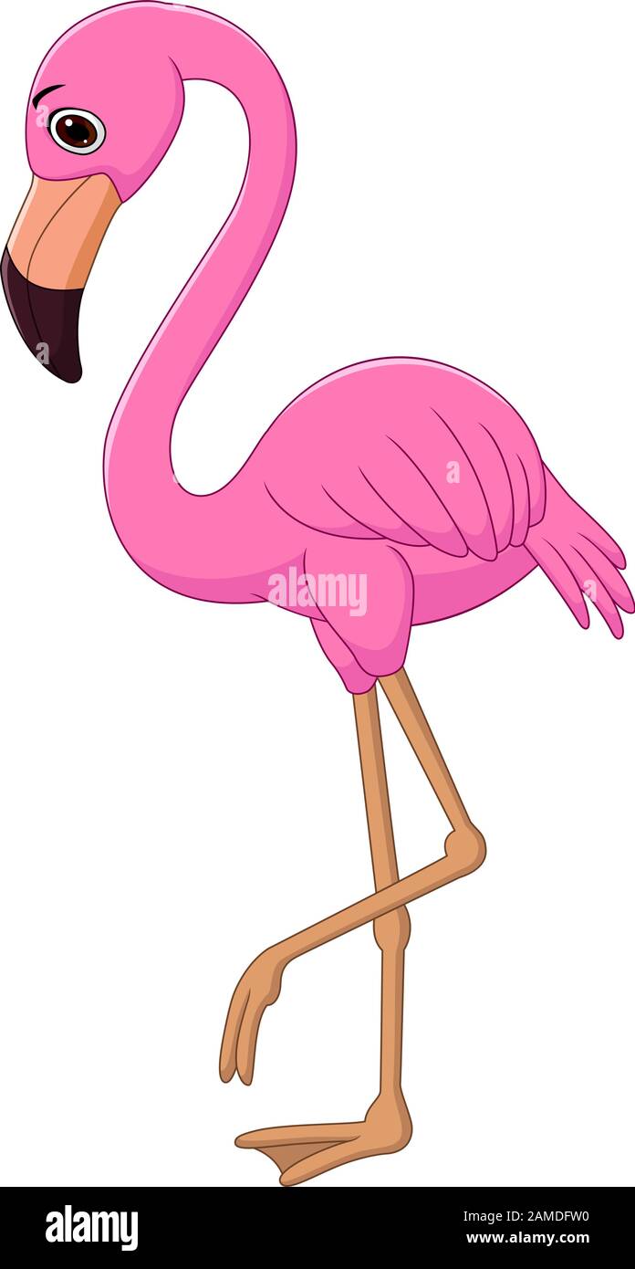 Flamingo cartoon Immagini Vettoriali Stock - Alamy