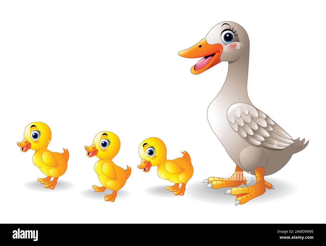 Famiglia di cigni Immagini Vettoriali Stock - Alamy