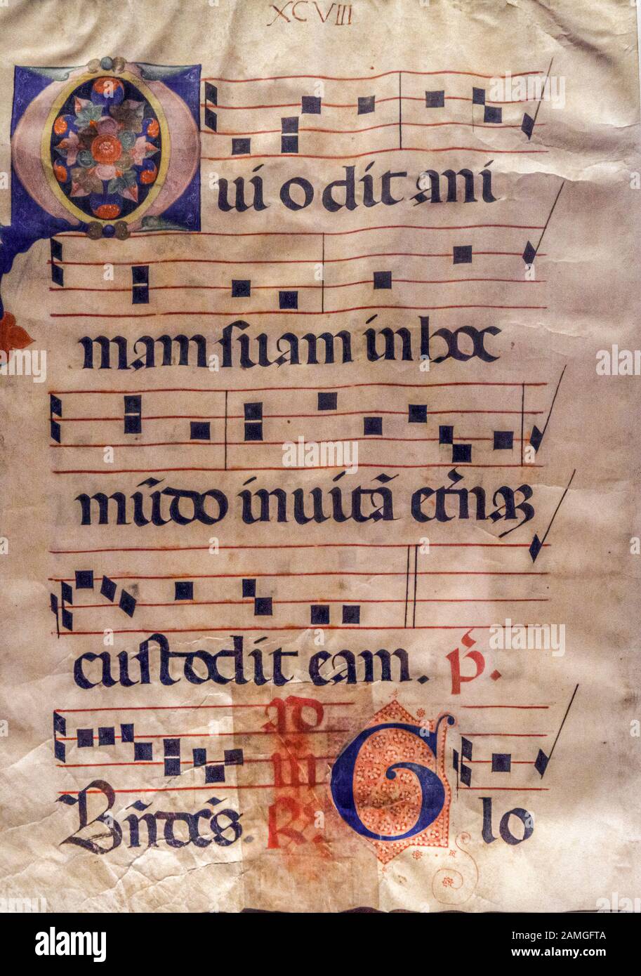 Museo civico amedeo lia immagini e fotografie stock ad alta risoluzione ...