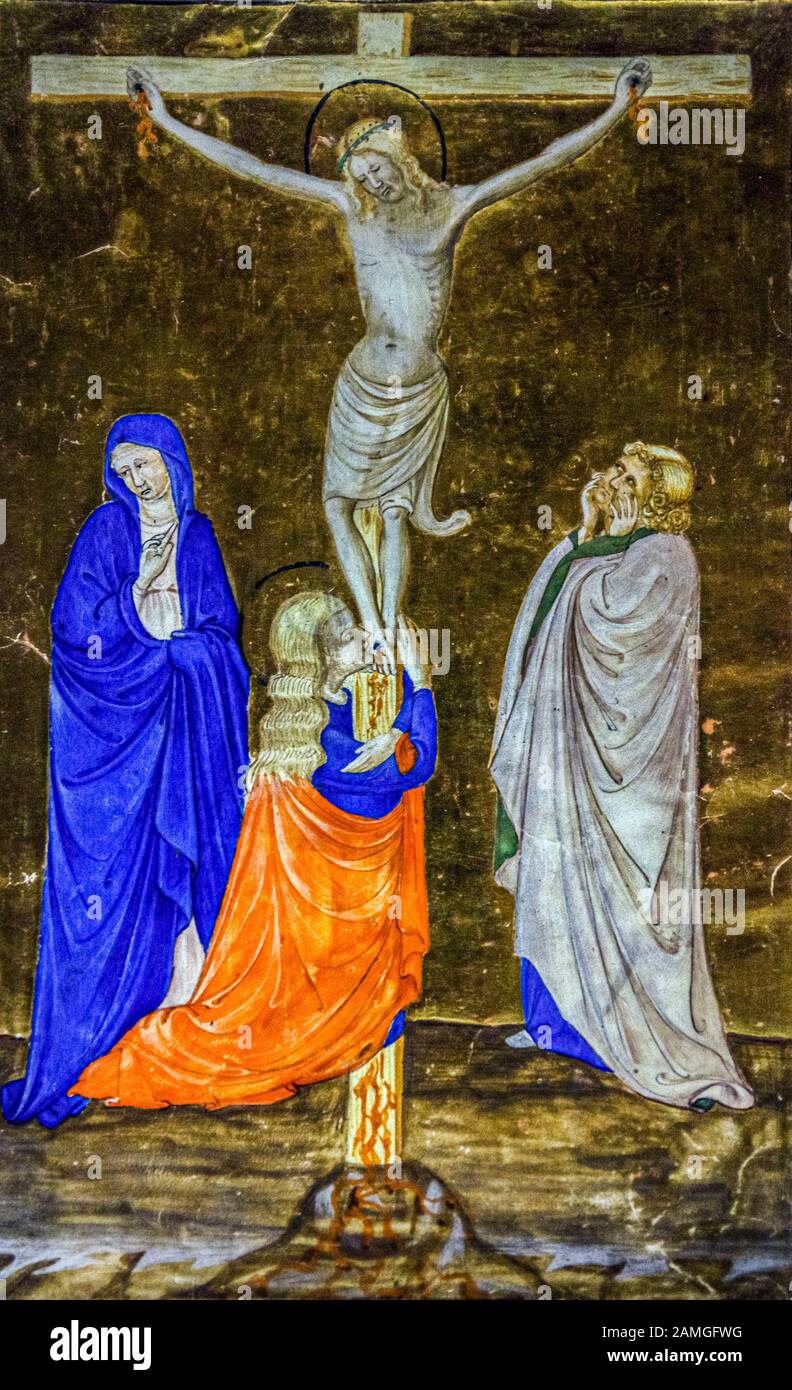 Museo civico amedeo lia immagini e fotografie stock ad alta risoluzione ...