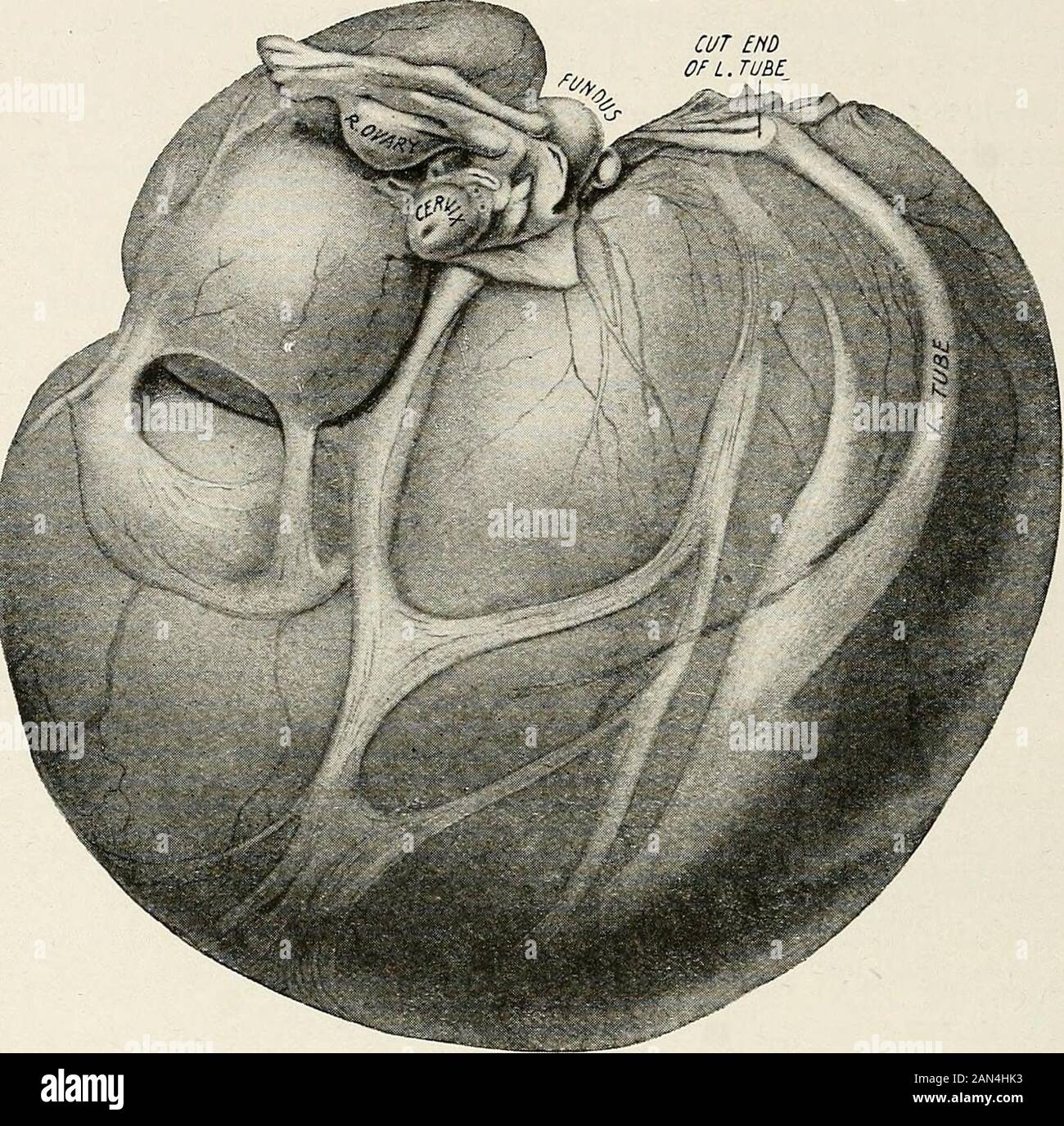 Promontorio sacrale immagini e fotografie stock ad alta risoluzione - Alamy