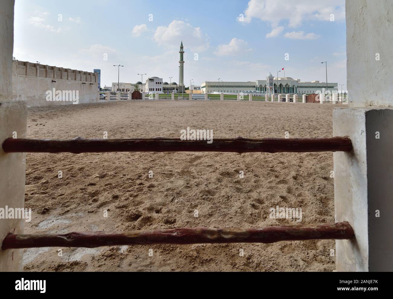 Cavalli di razza in vendita immagini e fotografie stock ad alta ...