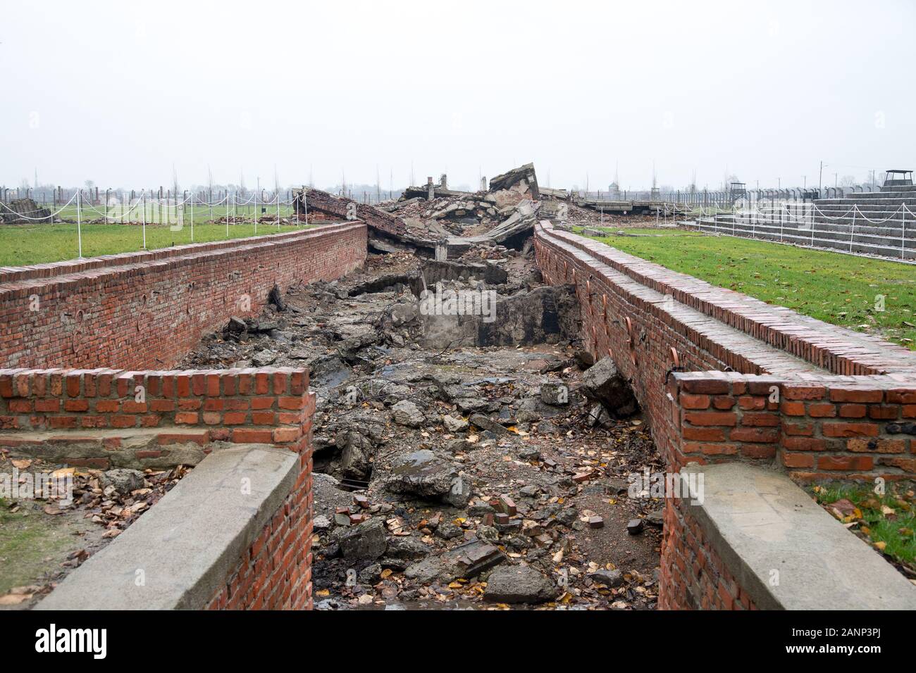 Camera a gas auschwitz birkenau iii immagini e fotografie stock ad alta ...
