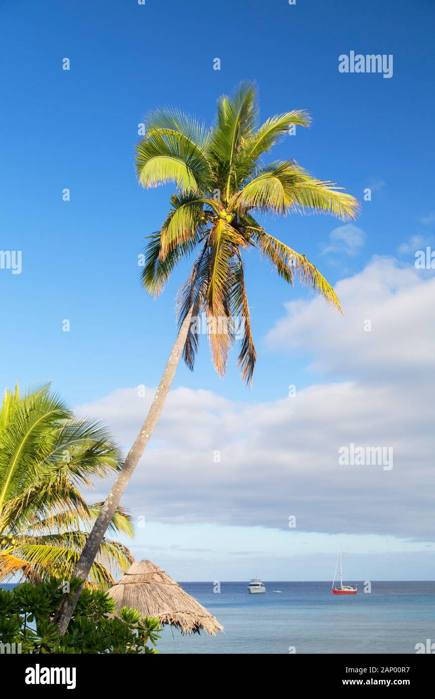 Spiagge di fiji immagini e fotografie stock ad alta risoluzione - Alamy