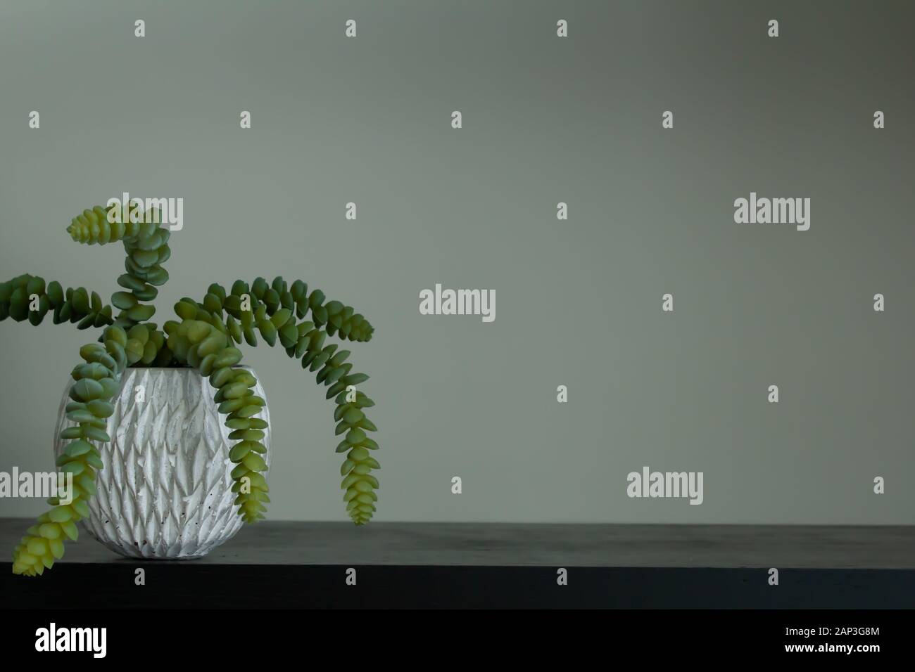 Pianta e scrivania immagini e fotografie stock ad alta risoluzione - Alamy