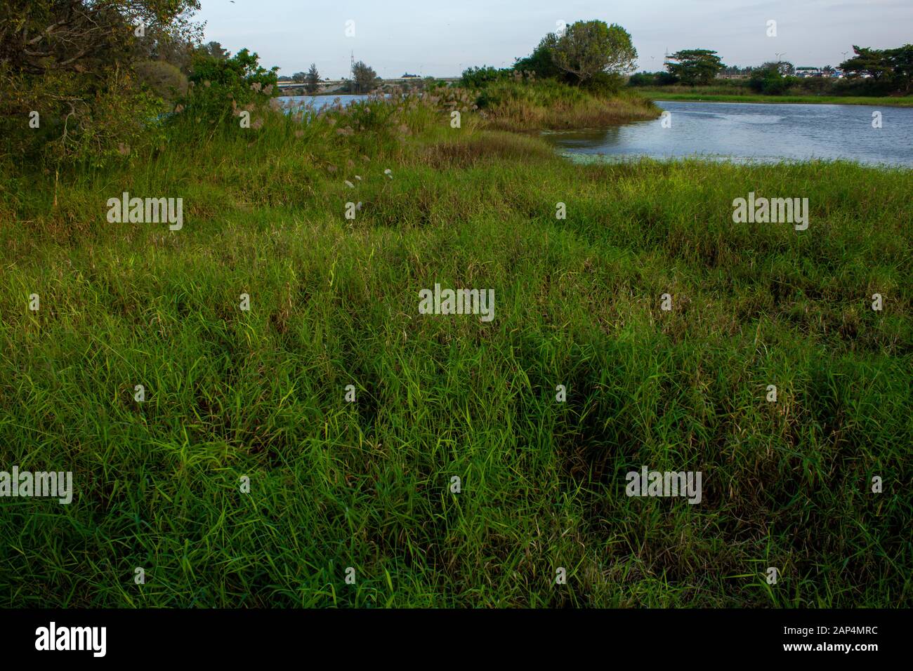 Krishna raja sagara immagini e fotografie stock ad alta risoluzione - Alamy