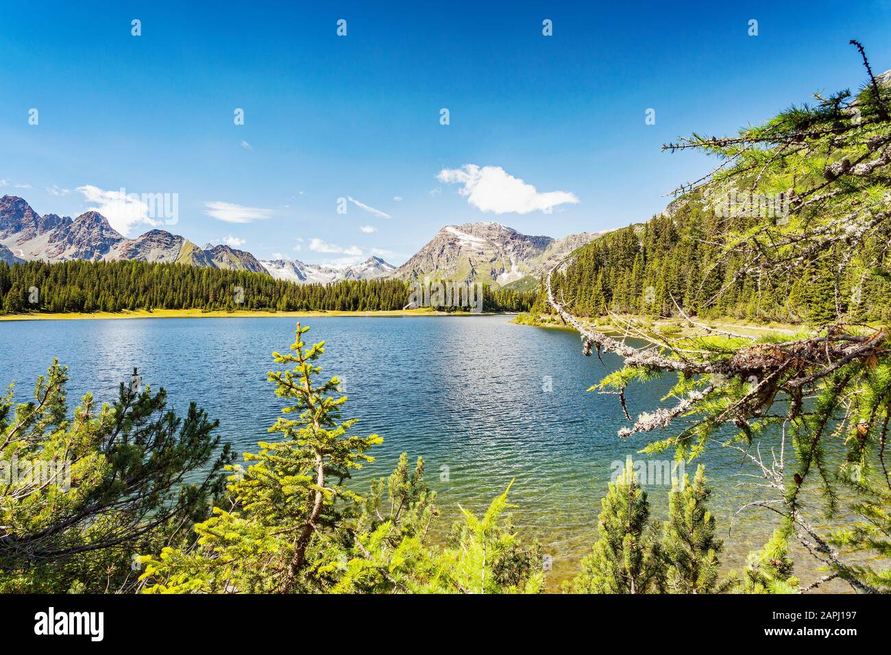 Valmalenco lago palù immagini e fotografie stock ad alta risoluzione ...