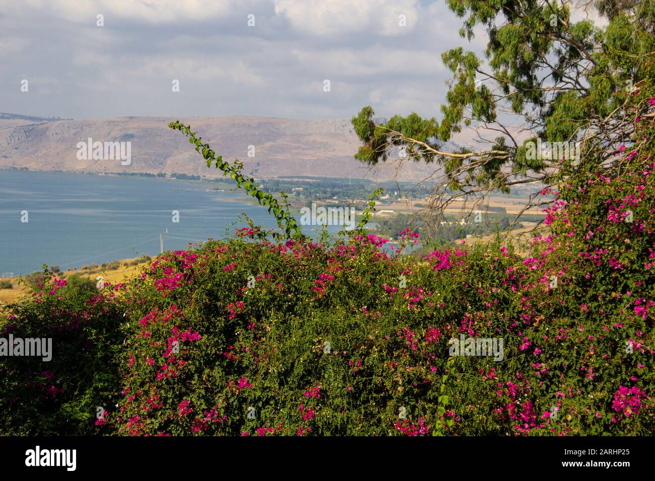 Al lago tiberias immagini e fotografie stock ad alta risoluzione - Alamy