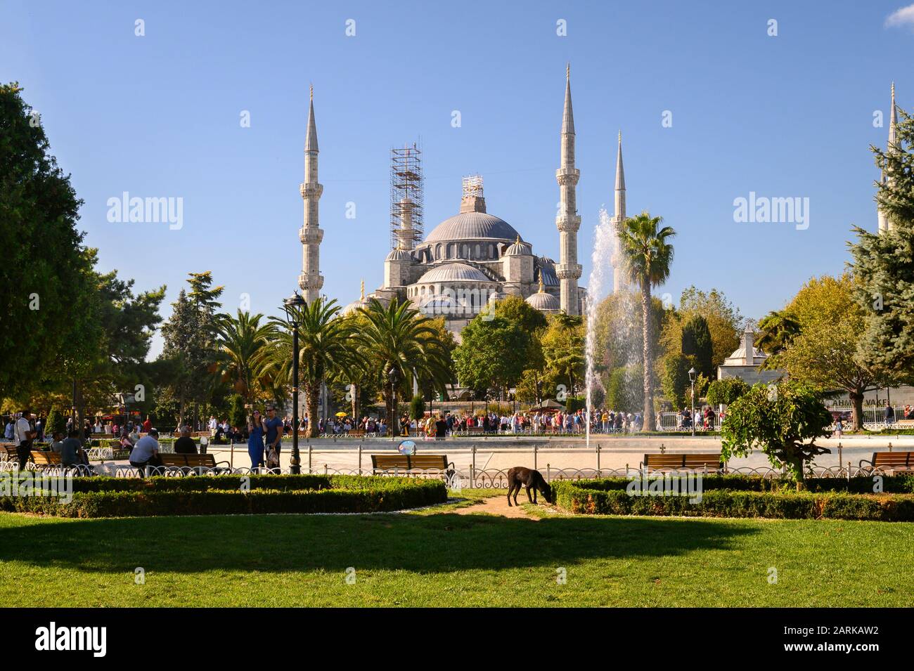 Moschea di istanbul turchia blu immagini e fotografie stock ad alta ...