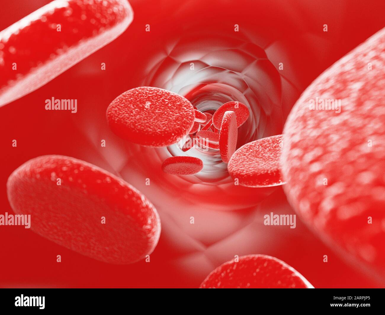 Arteria Umana Con Cellule Del Sangue Immagini e Fotos Stock - Alamy
