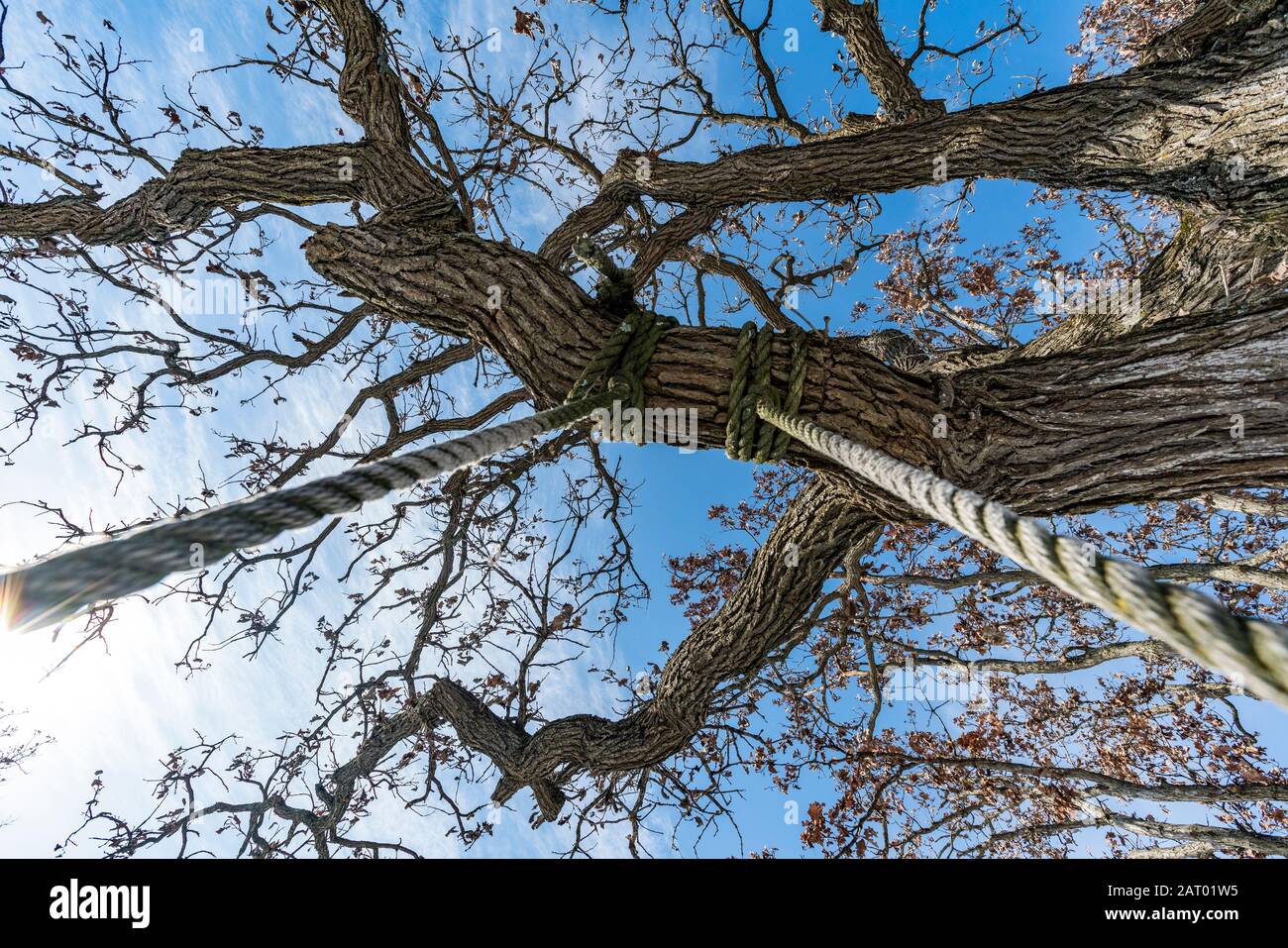 Ramo di un albero e altalena immagini e fotografie stock ad alta ...