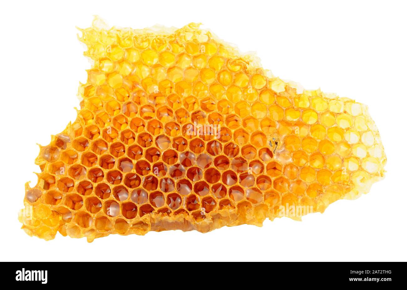 Honeycomb cells immagini e fotografie stock ad alta risoluzione - Alamy