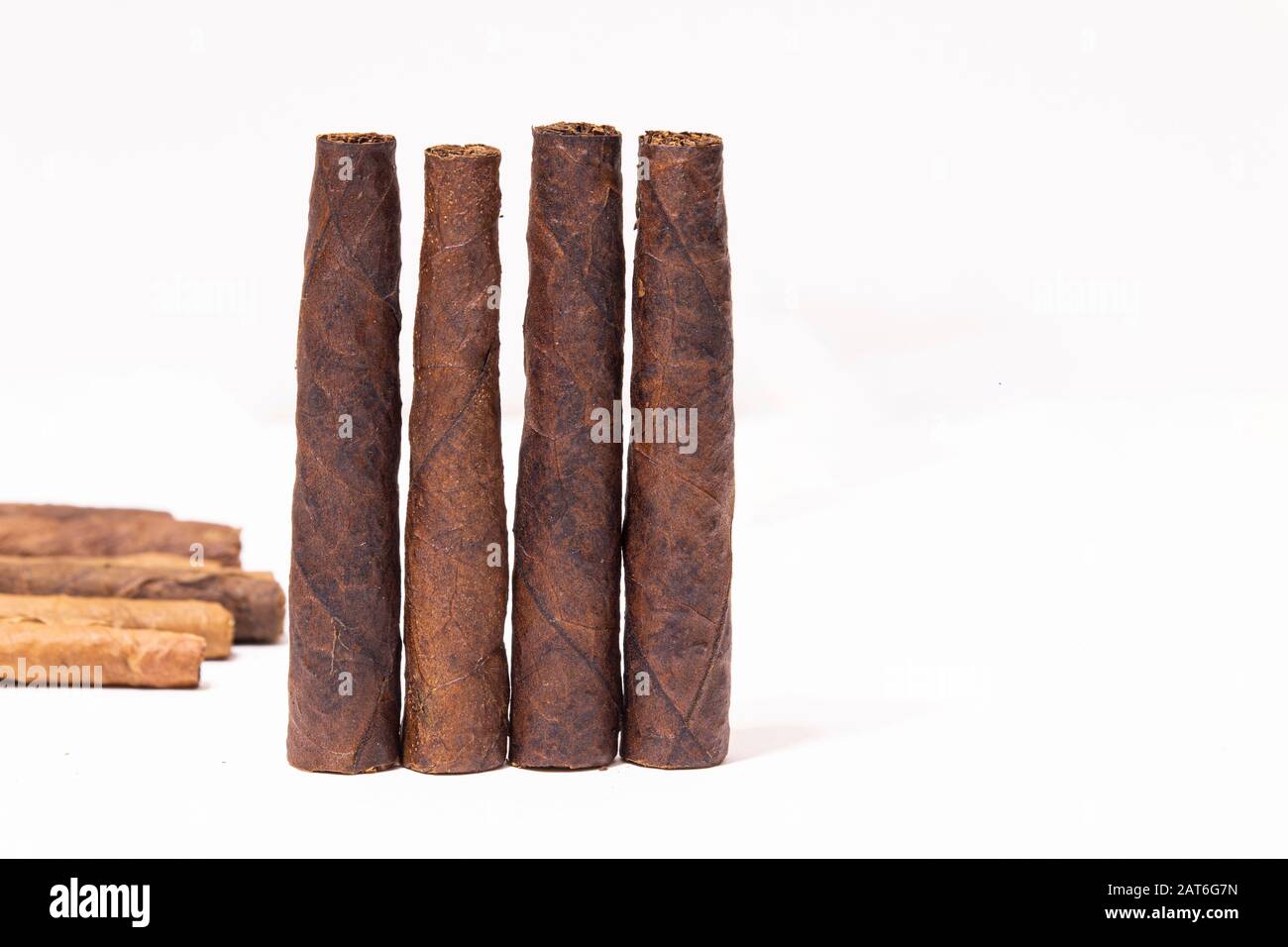 Cigarillos tobacco immagini e fotografie stock ad alta risoluzione - Alamy