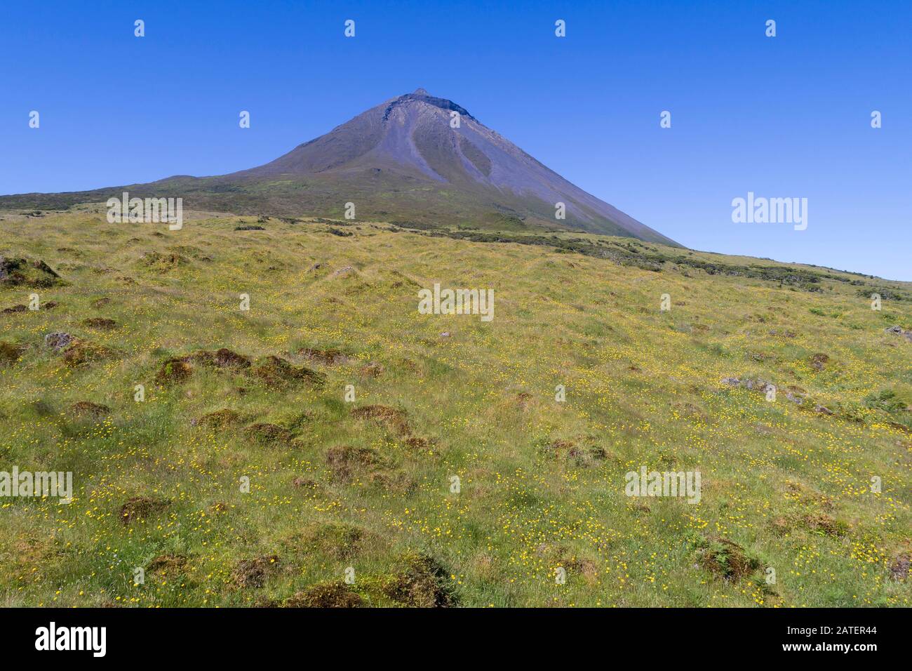 Veduta aerea del Monte Pico, Ponta do Pico, il Monte Pico è la più alta ...