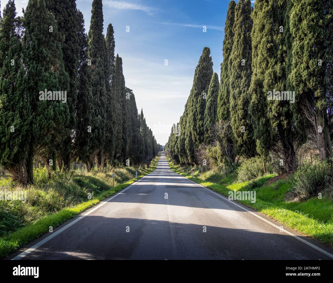 Road With A Tree Immagini e Fotos Stock - Alamy