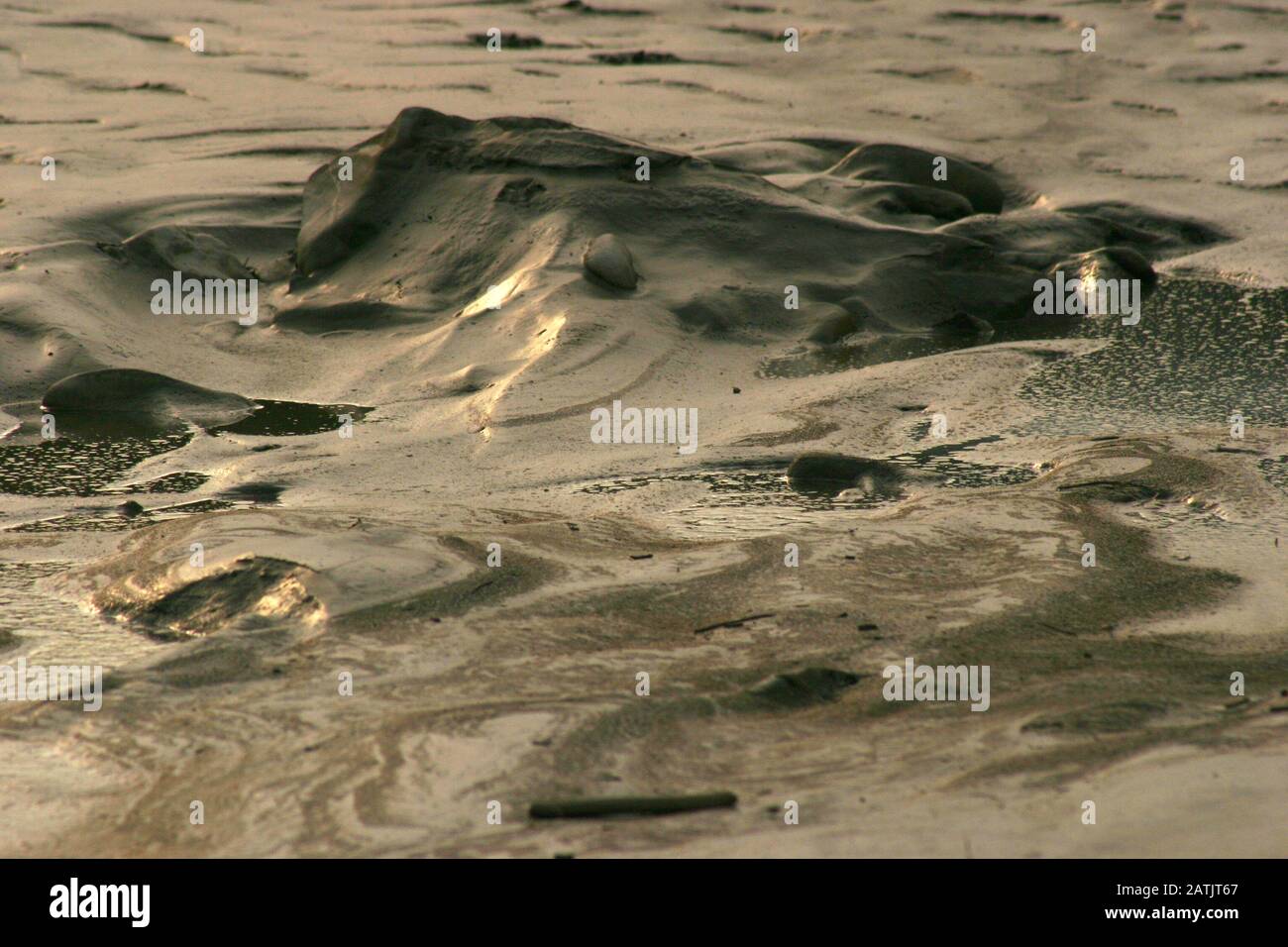 Zona fangosa bagnata immagini e fotografie stock ad alta risoluzione ...