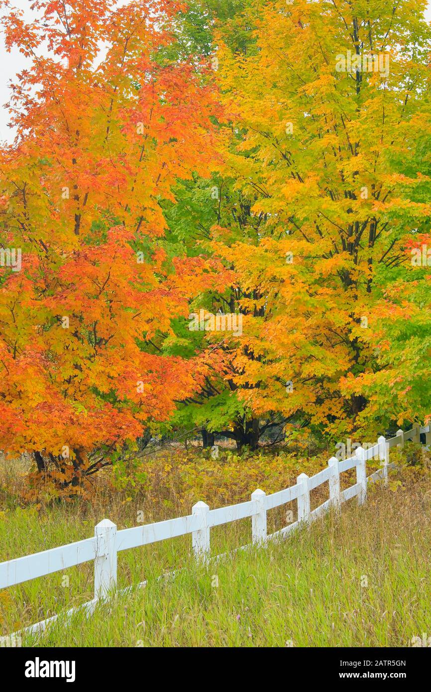 Michigan grandi laghi leland lago michigan immagini e fotografie stock ...