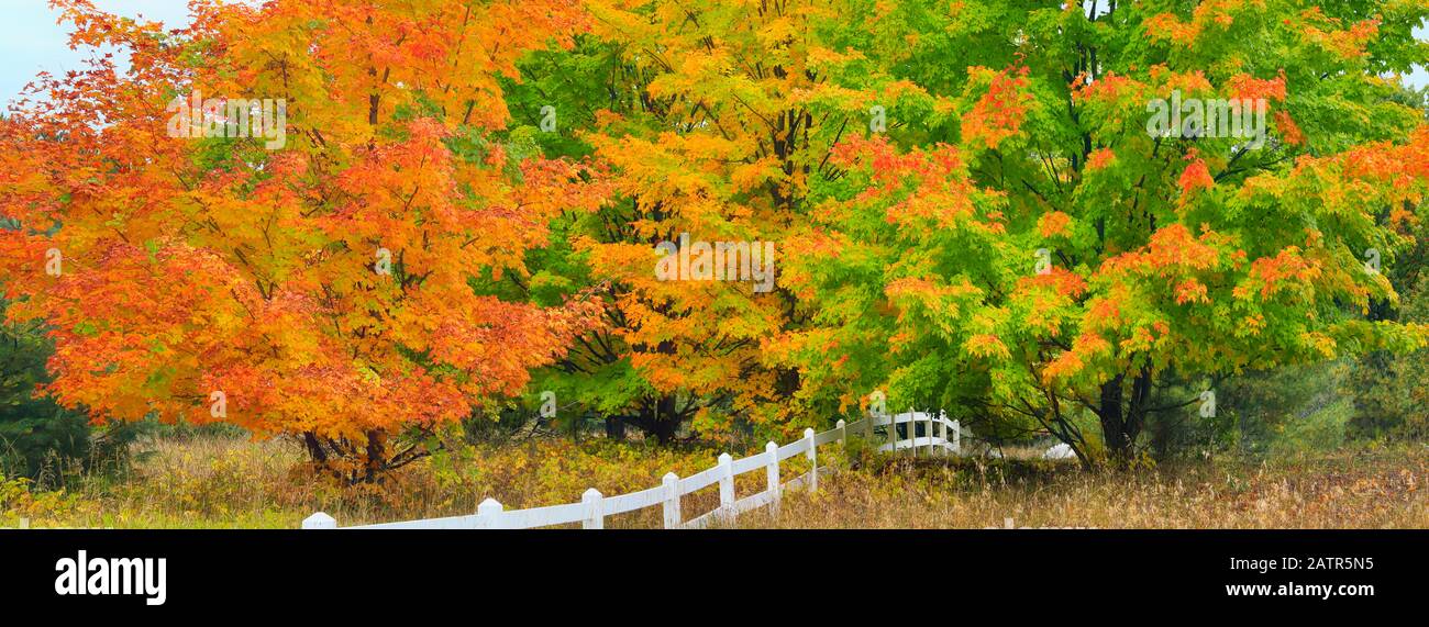 Michigan grandi laghi leland lago michigan immagini e fotografie stock ...