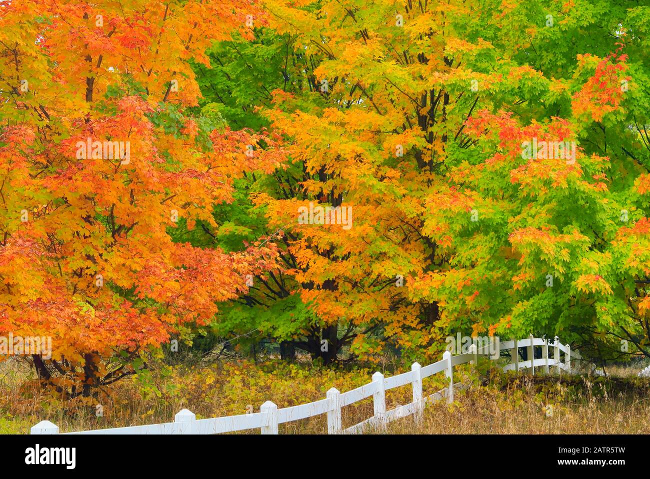 Michigan grandi laghi leland lago michigan immagini e fotografie stock ...