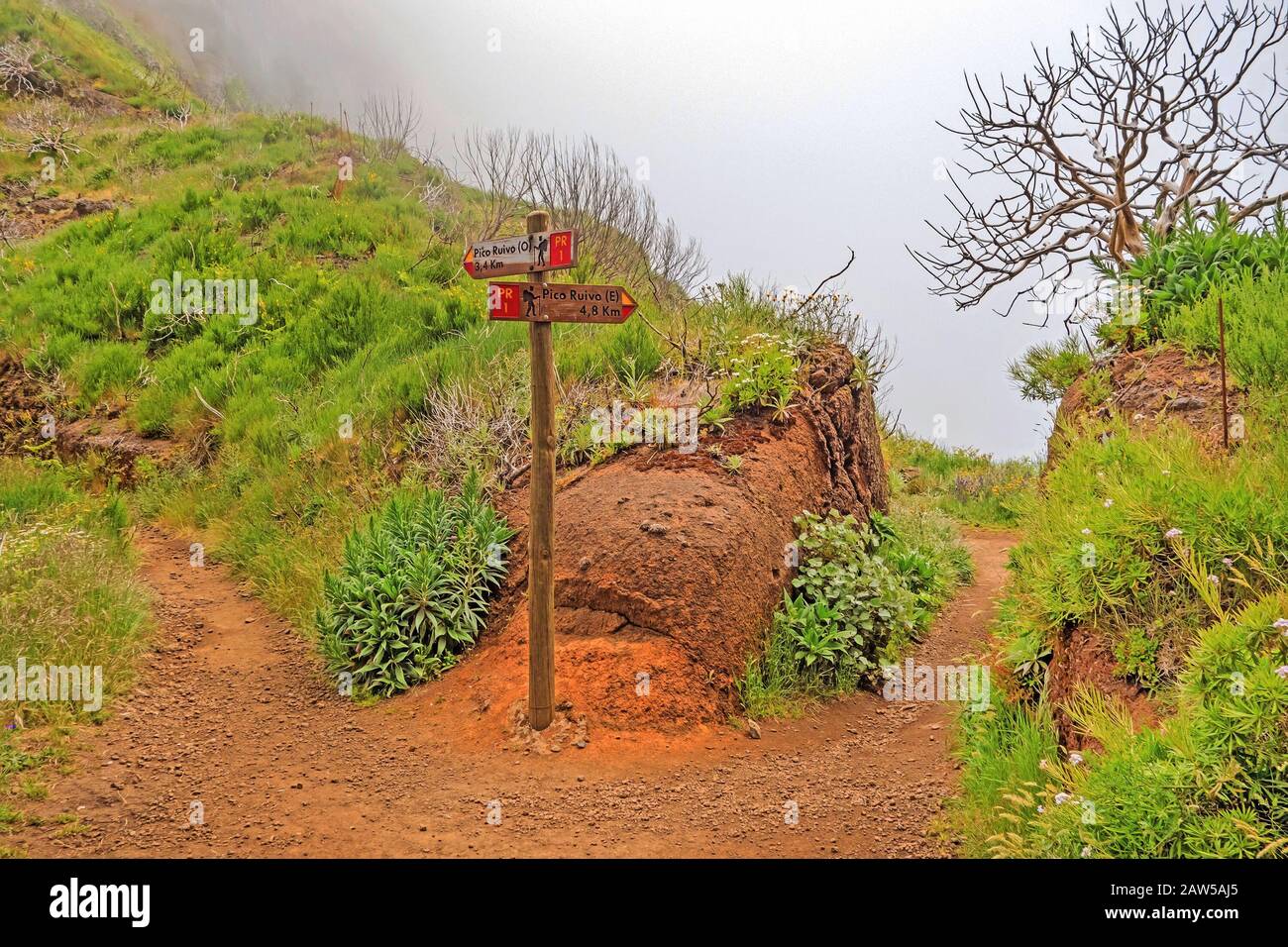 Sentiero escursionistico passaggio dalla montagna Pico Arieiro a Pico ...