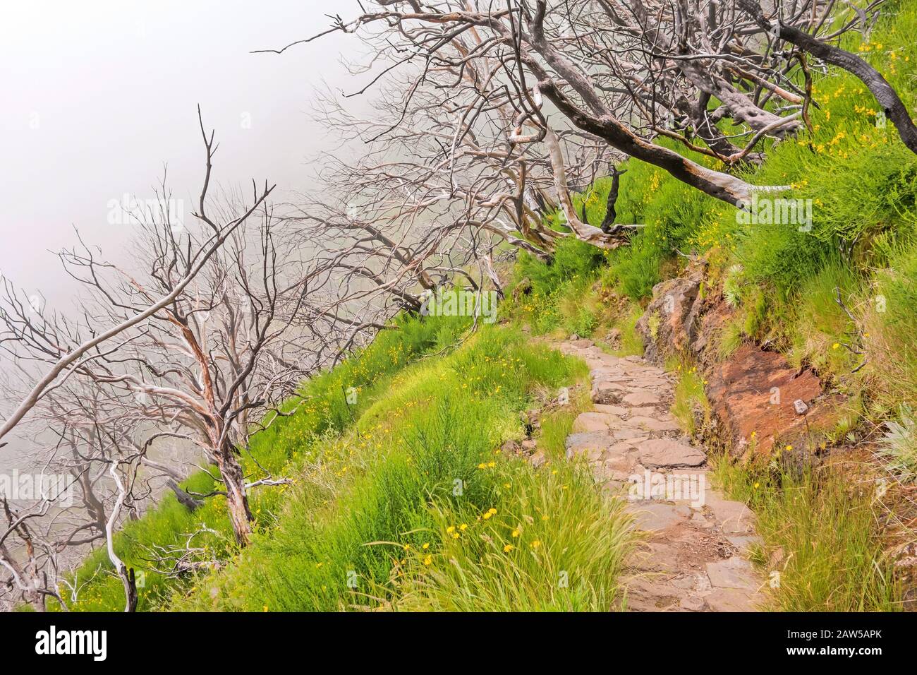 Sentiero escursionistico il passaggio dalla montagna Pico Arieiro a ...