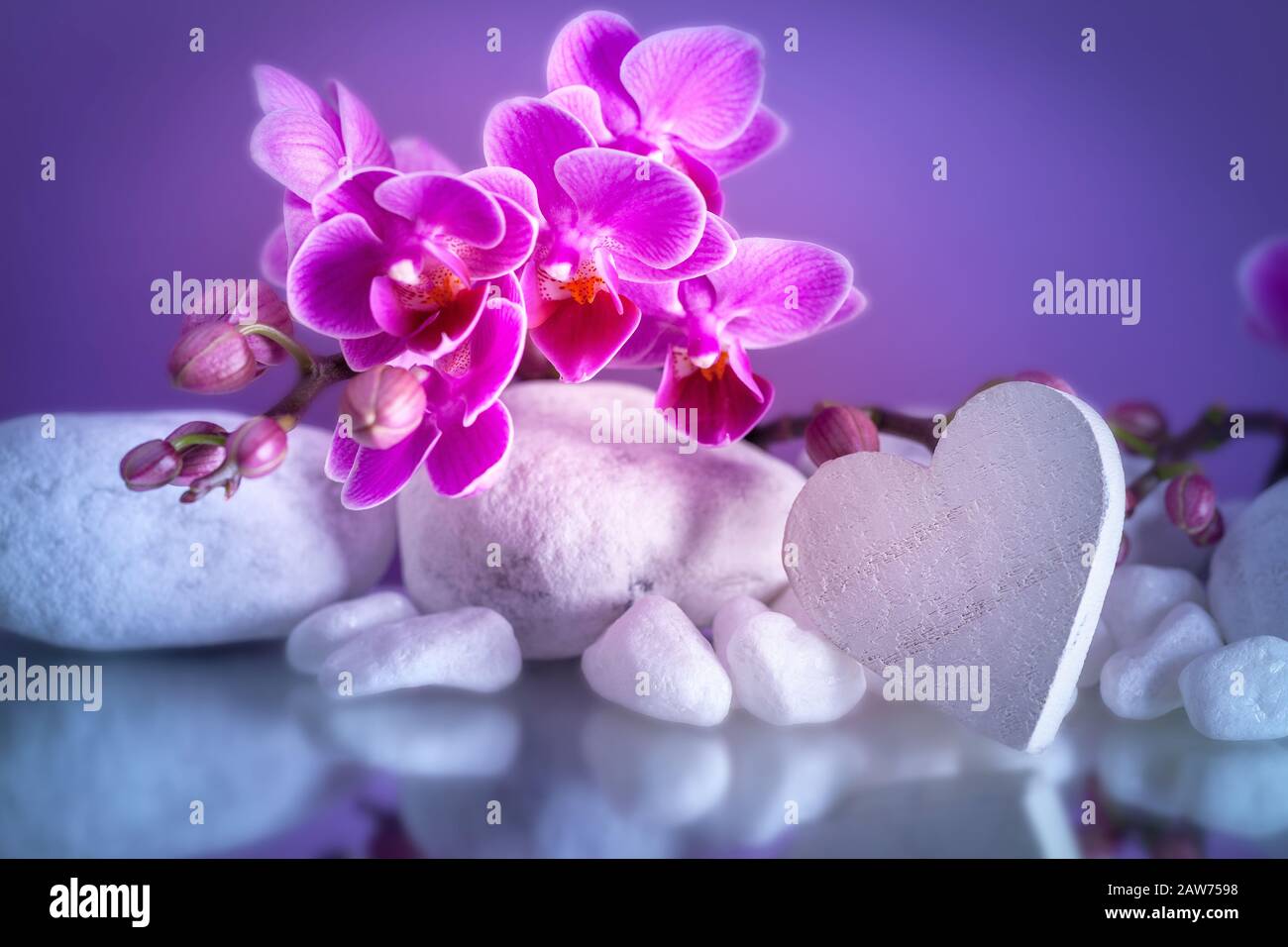 Composizione floreale con orchidee immagini e fotografie stock ad alta ...