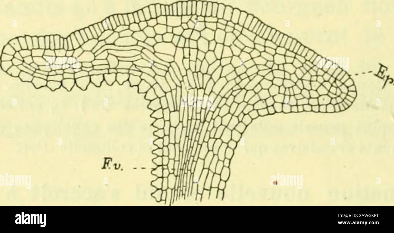 Col de la division immagini e fotografie stock ad alta risoluzione - Alamy