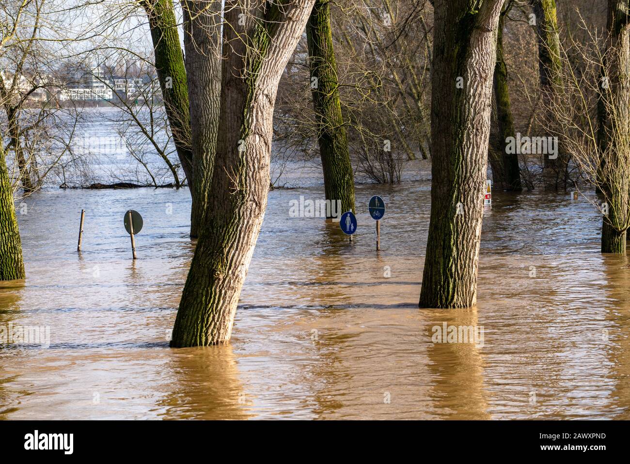 Hochwasser fluss rhein immagini e fotografie stock ad alta risoluzione ...