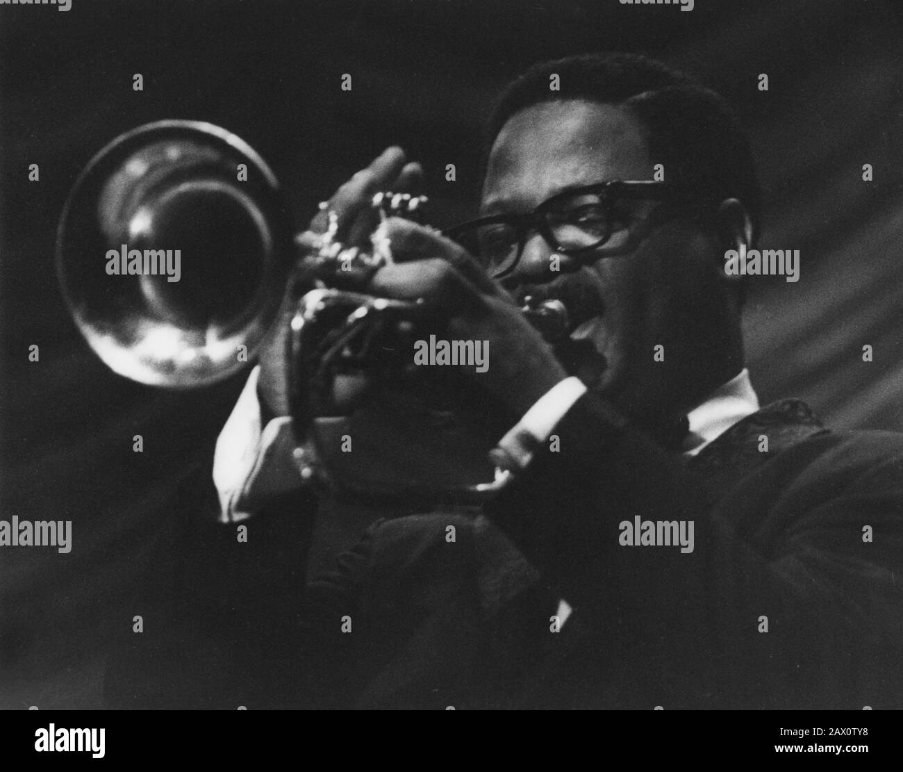 Terry clark immagini e fotografie stock ad alta risoluzione - Alamy