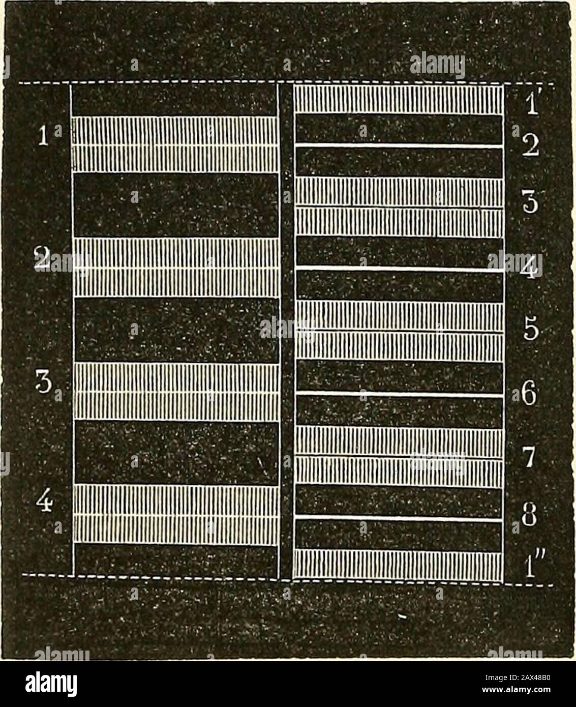 Disque cupo immagini e fotografie stock ad alta risoluzione - Alamy