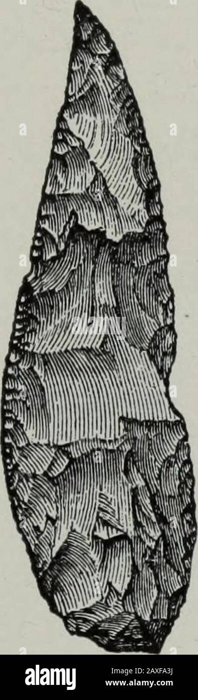 Geologia . Include frammenti di pietra, materiale rotto e scartato, e ...