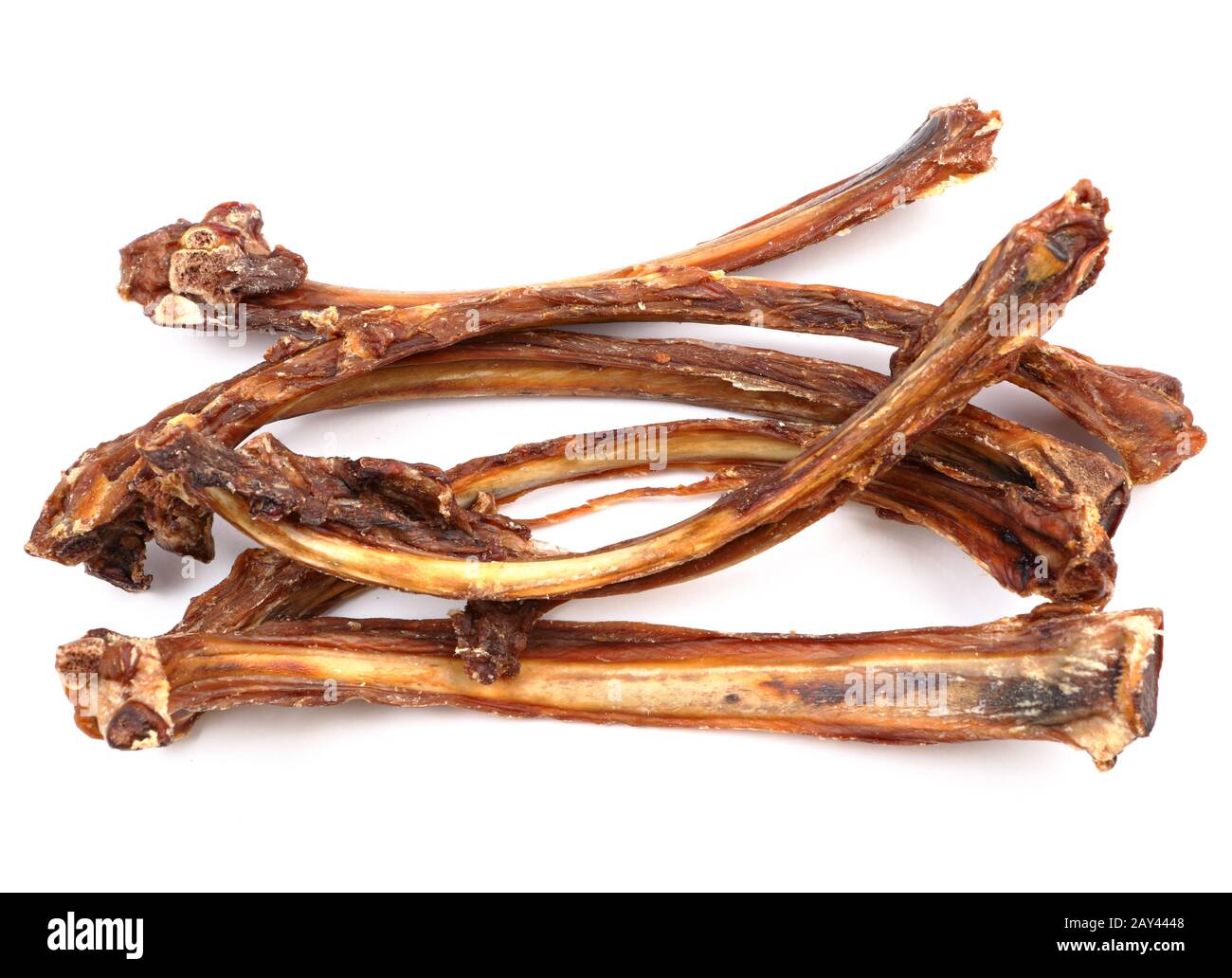 Costola animale immagini e fotografie stock ad alta risoluzione - Alamy