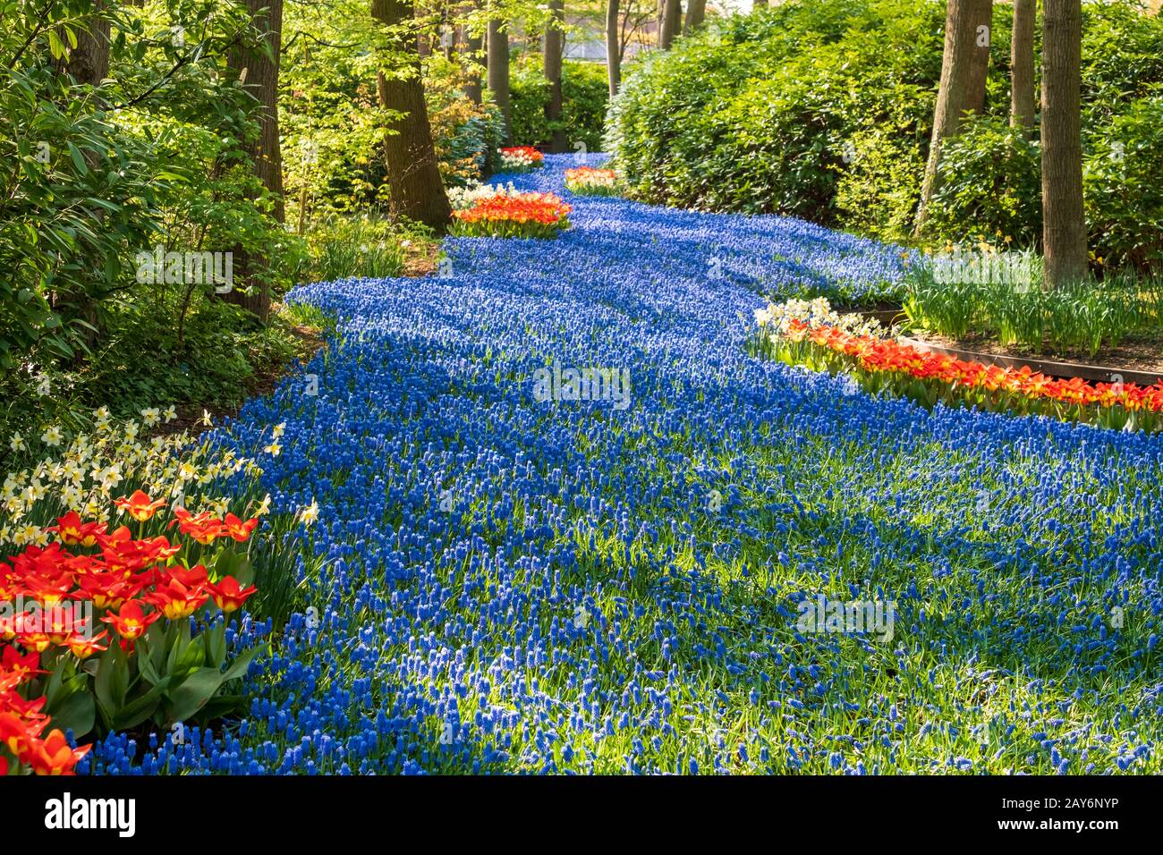 Display A Pianta Colorata Immagini e Fotos Stock - Alamy