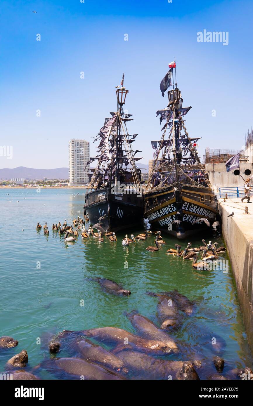 Scheletro di navi immagini e fotografie stock ad alta risoluzione - Alamy