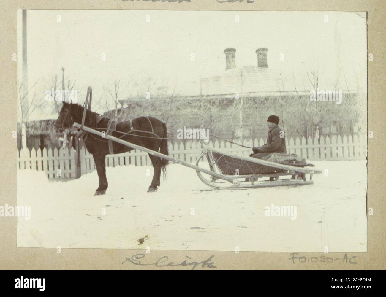 Disegno di una slitta trainata da cavalli immagini e fotografie stock ...