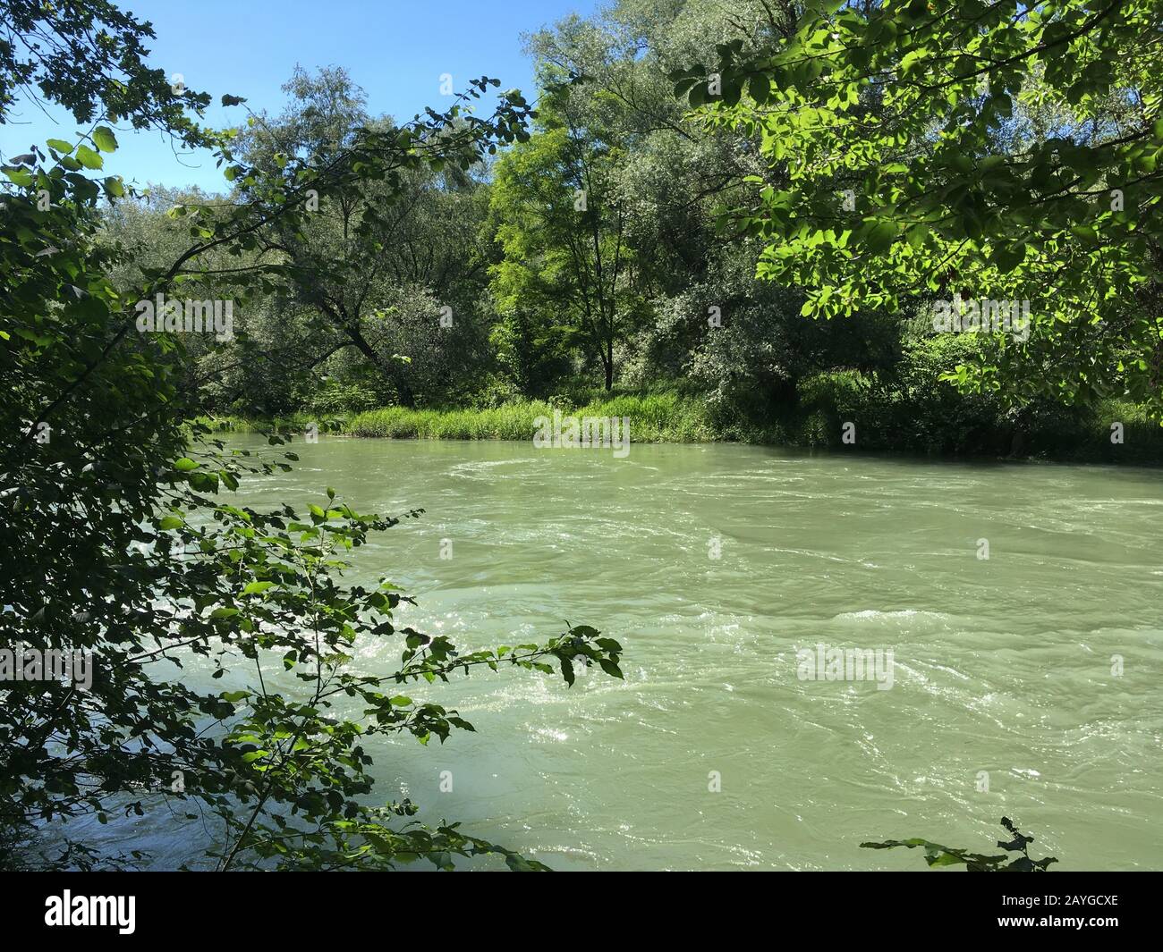 Bioma della foresta pluviale immagini e fotografie stock ad alta ...