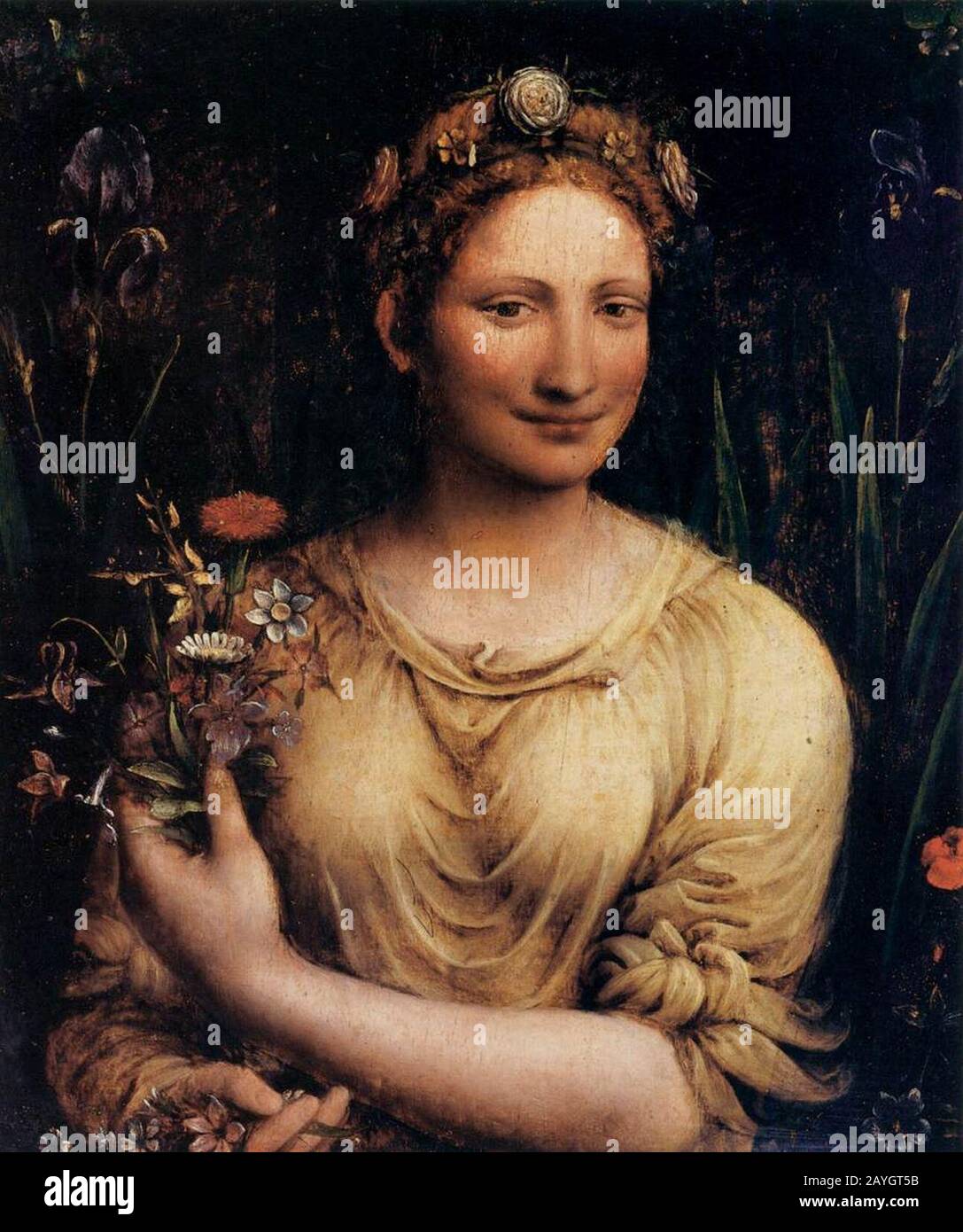 Francesco melzi immagini e fotografie stock ad alta risoluzione - Alamy