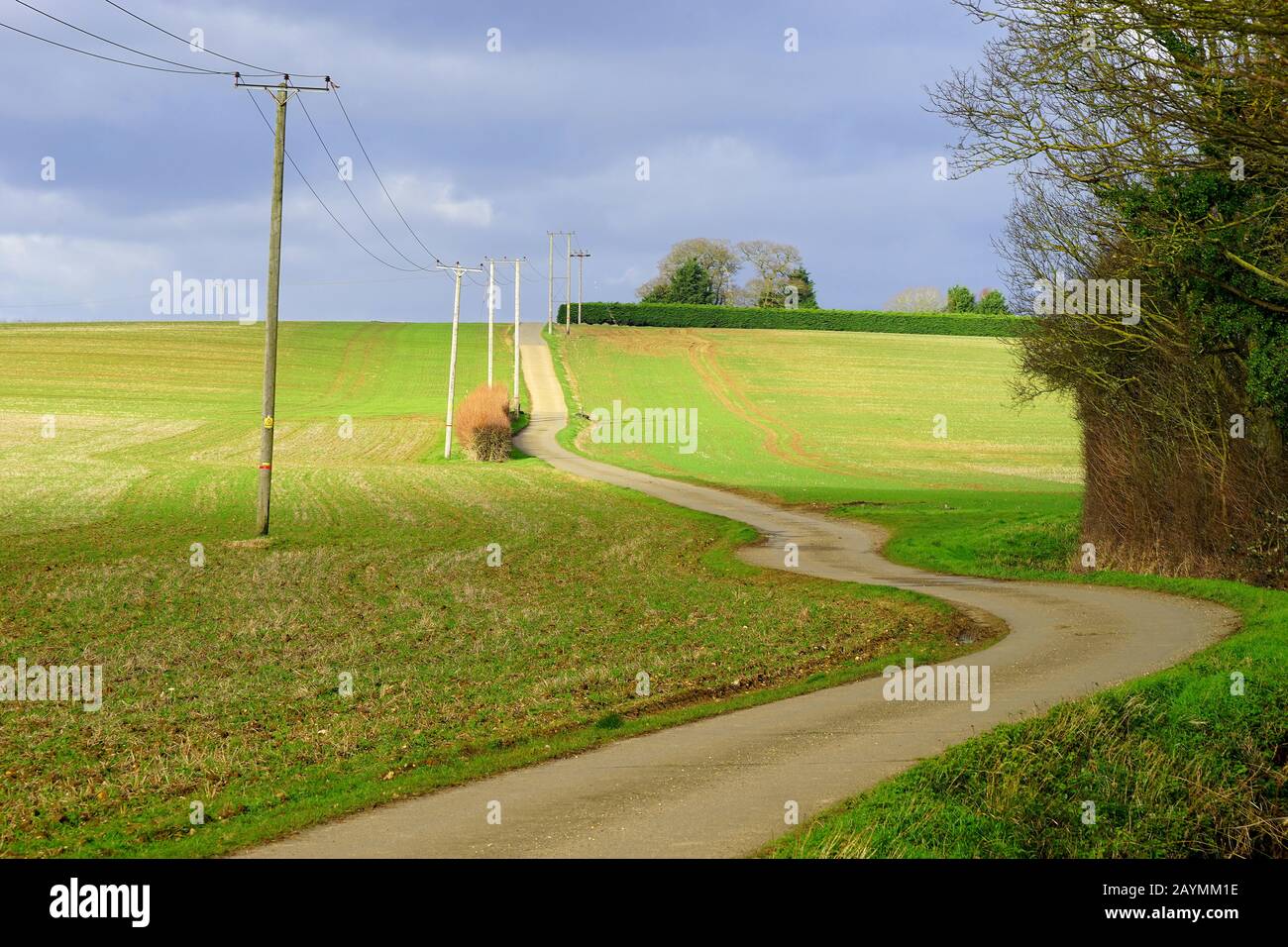 Pista tortuosa immagini e fotografie stock ad alta risoluzione - Alamy