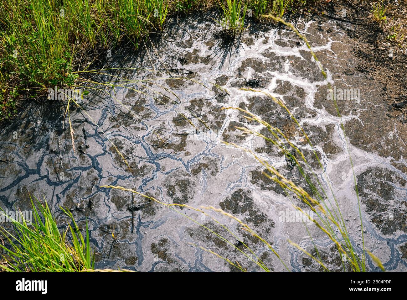 Inquinamento del suolo immagini e fotografie stock ad alta risoluzione - Alamy