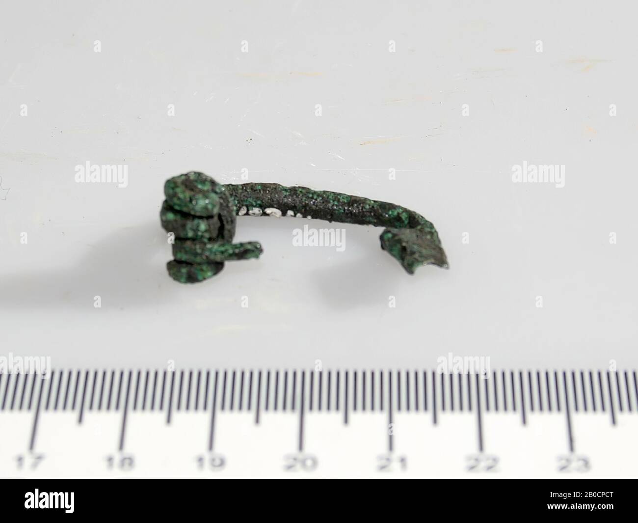 Filo fibula immagini e fotografie stock ad alta risoluzione - Alamy