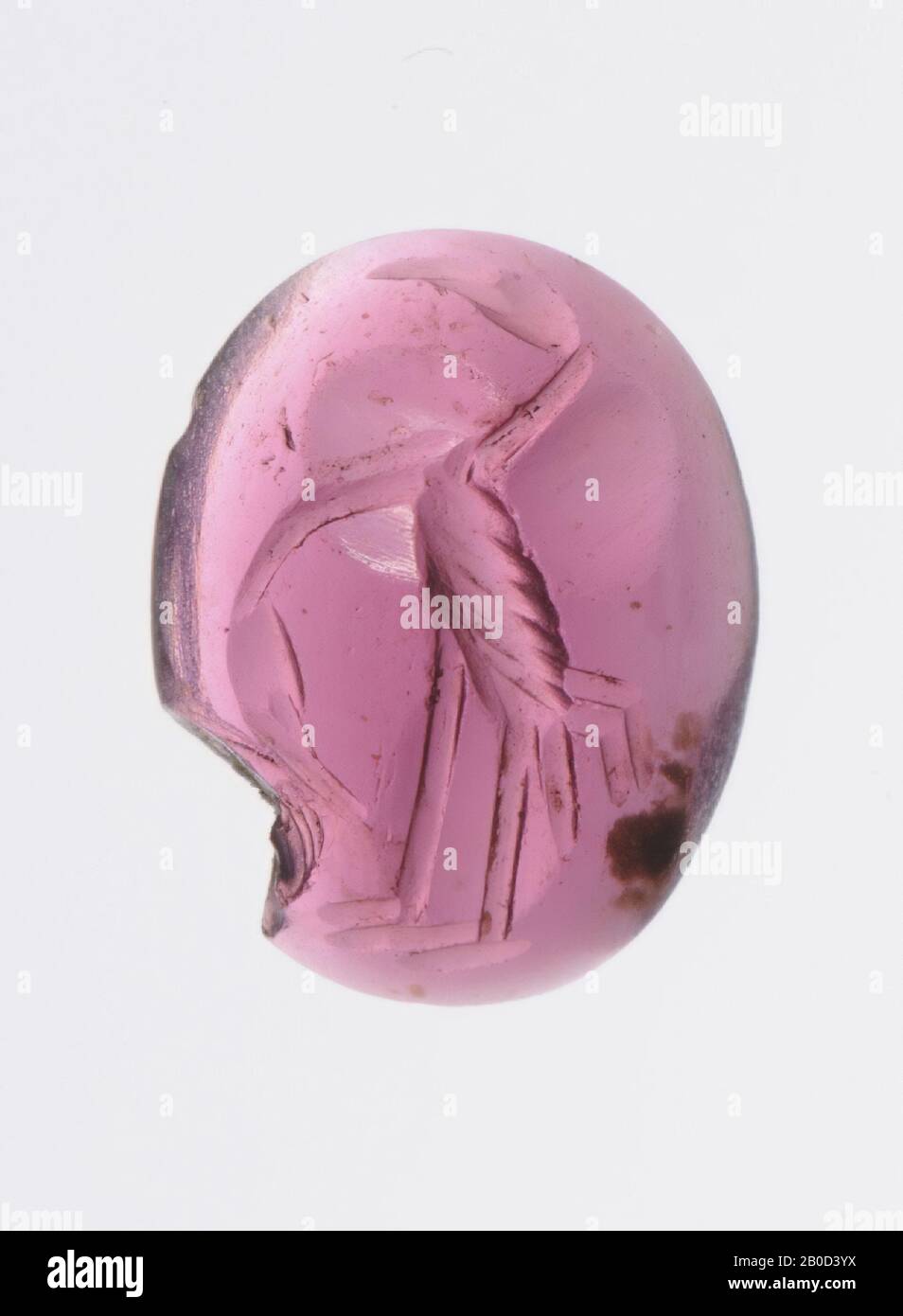 10 x 8 mm immagini e fotografie stock ad alta risoluzione - Alamy