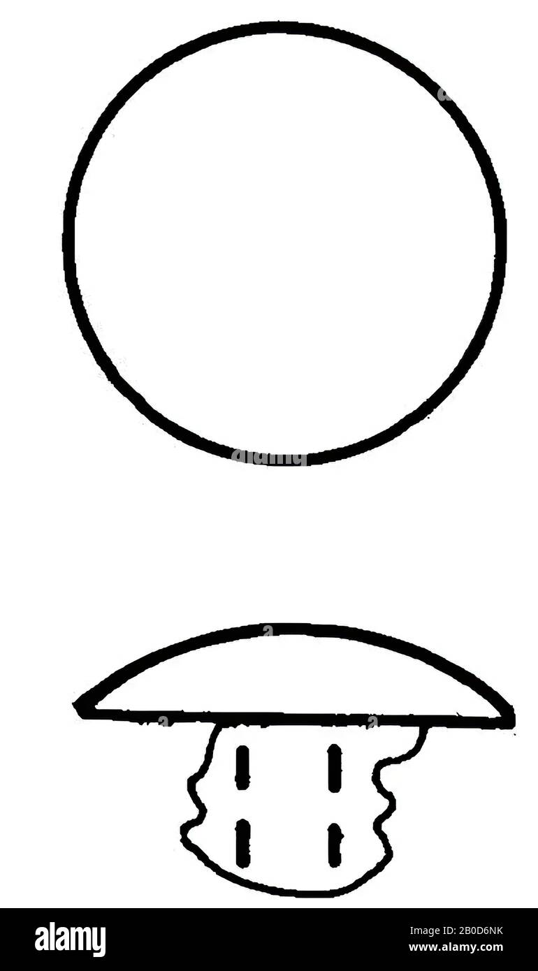 Legno mineralizzato attaccato immagini e fotografie stock ad alta risoluzione - Alamy