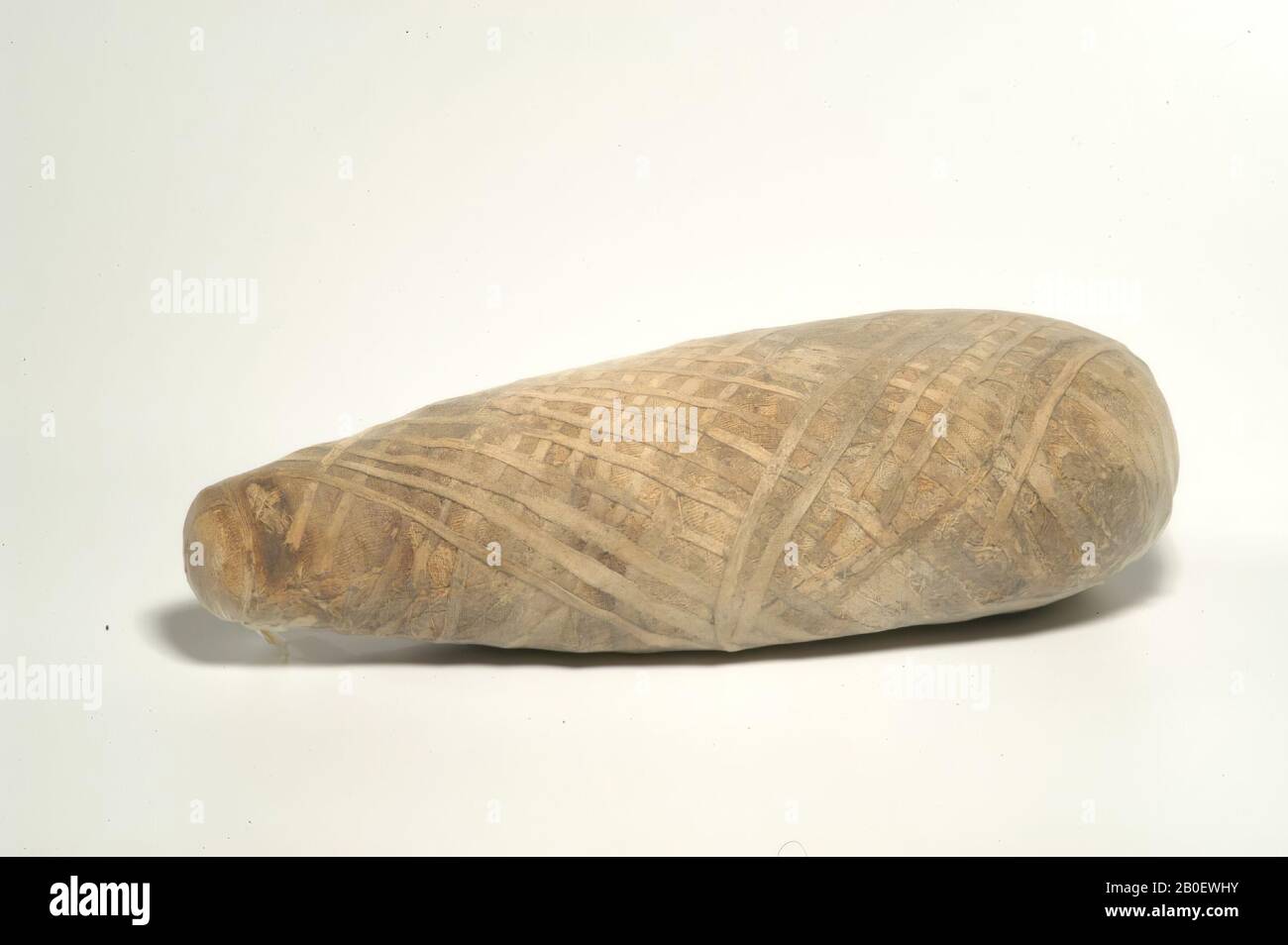 Fine caudale immagini e fotografie stock ad alta risoluzione - Alamy