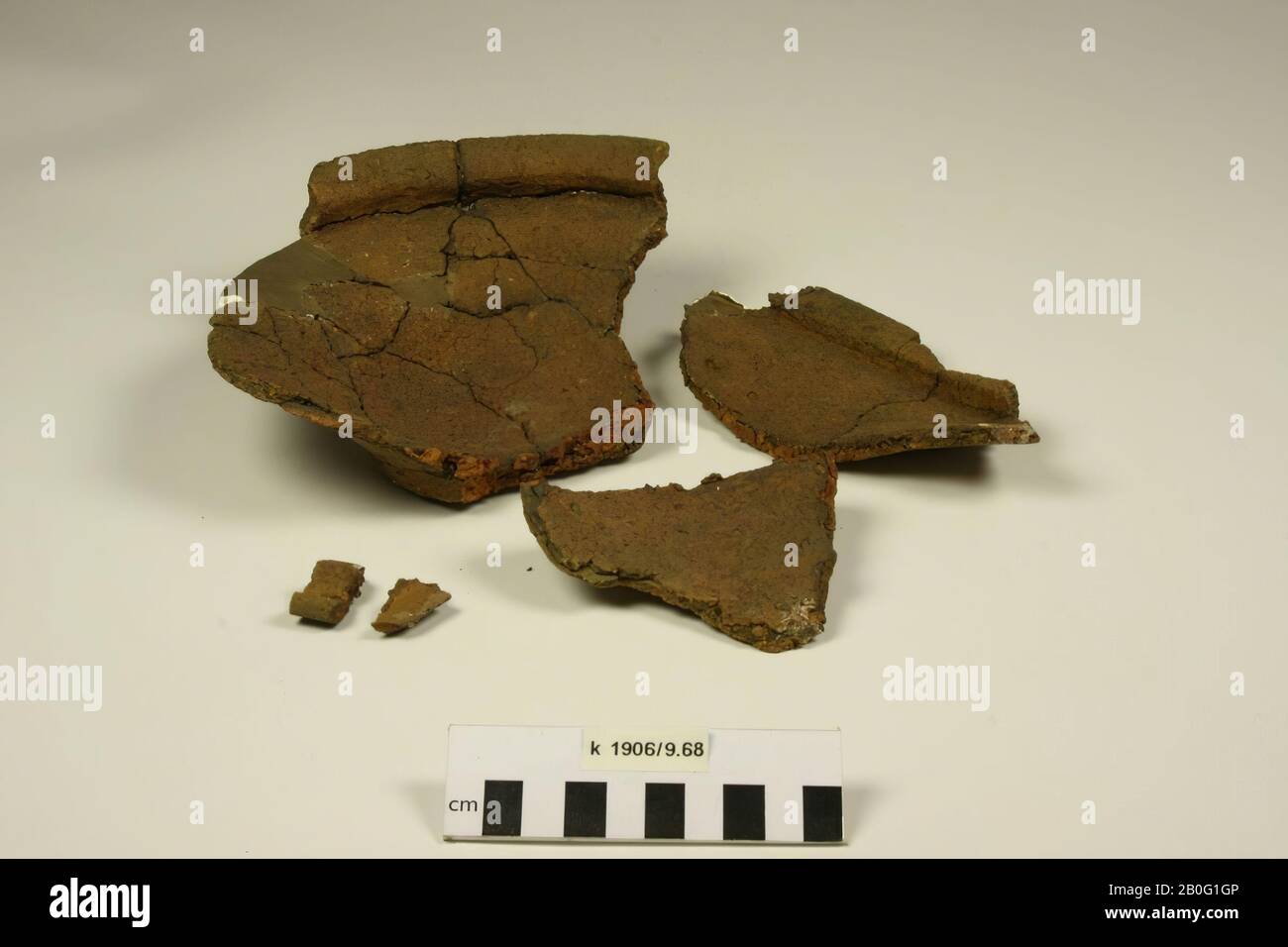 Chesia spartiata immagini e fotografie stock ad alta risoluzione - Alamy