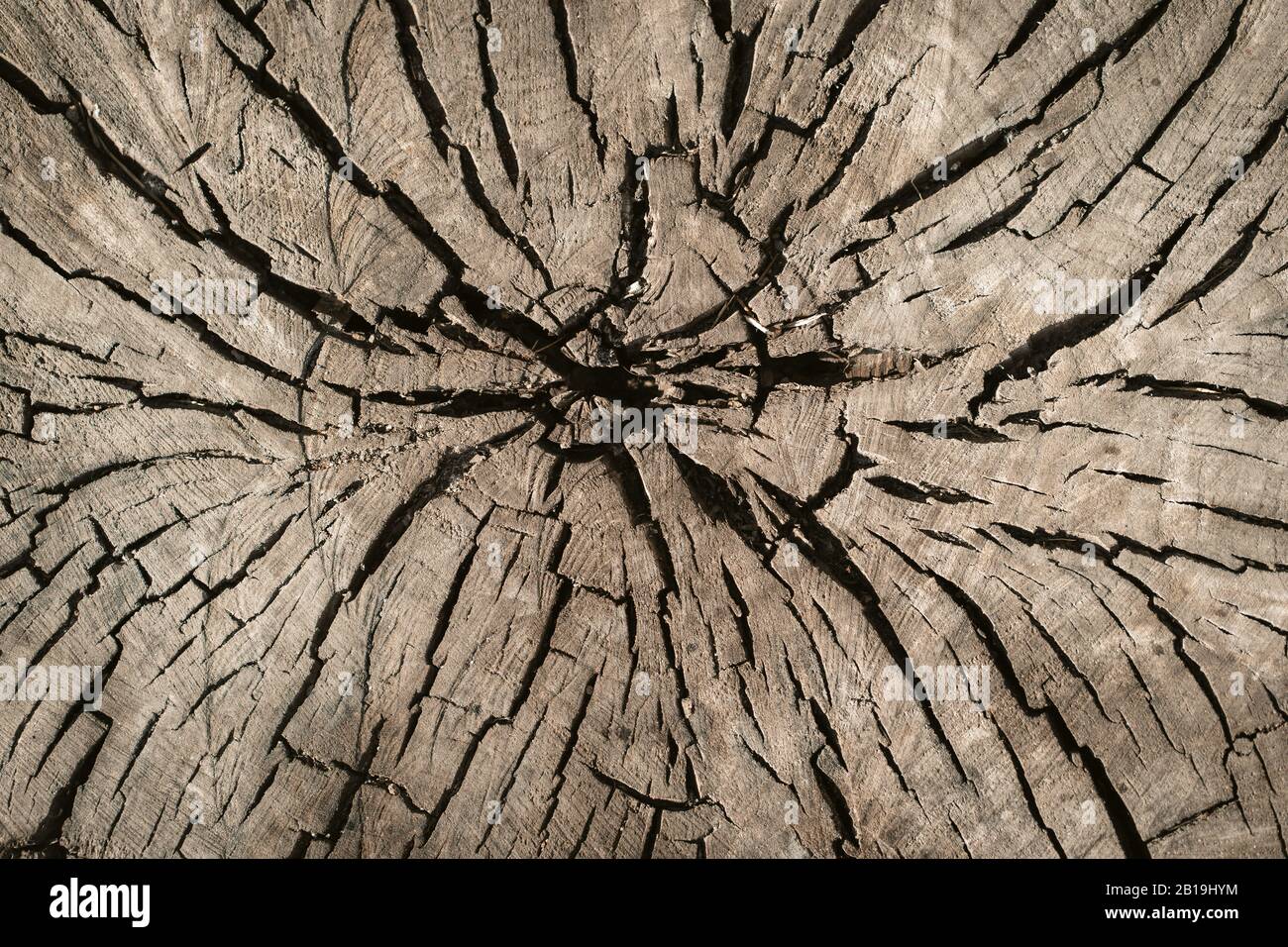Sfondo invecchiato immagini e fotografie stock ad alta risoluzione - Alamy
