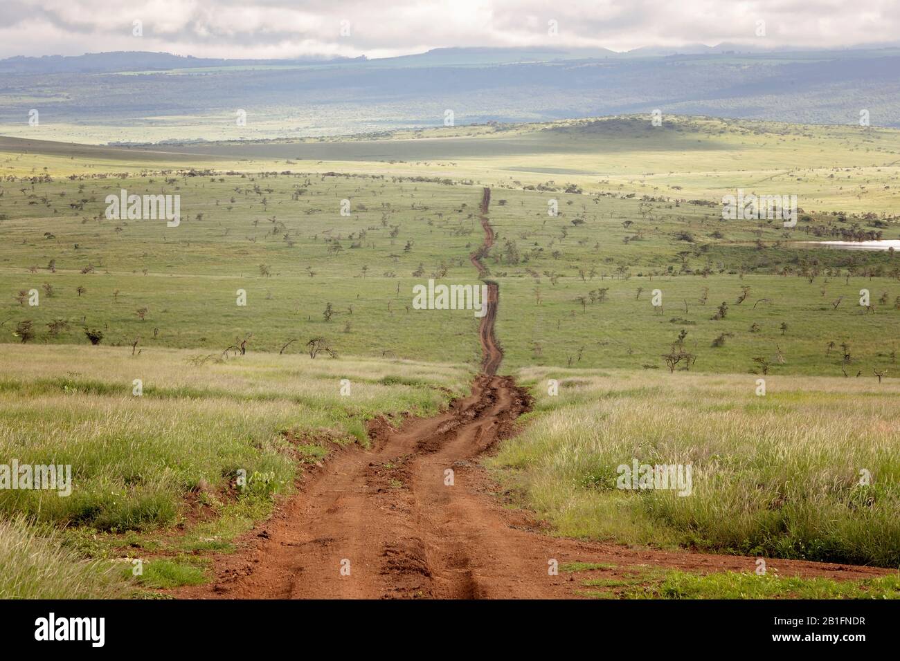 Lewa downs reserve immagini e fotografie stock ad alta risoluzione - Alamy
